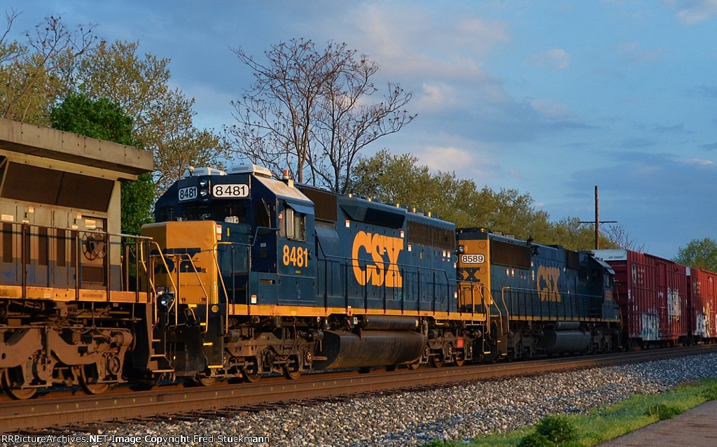 CSX 8481